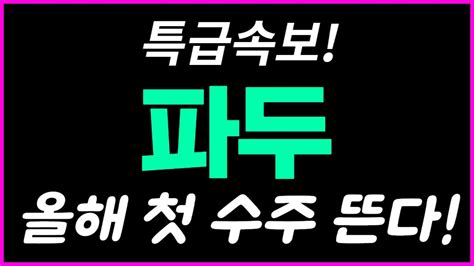 파두 특급속보 올해 첫 수주 뜬다 Youtube