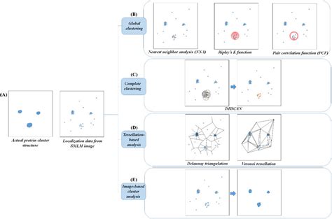 Classical Cluster Analysis Methods For Single Molecule Localization