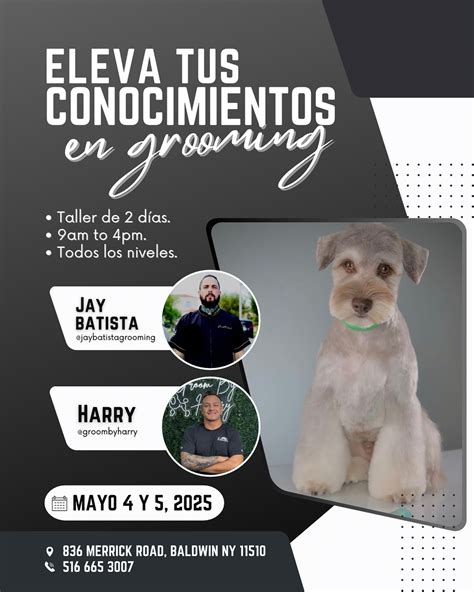 Jay Batista Jaybatistagrooming • Instagram Photos And Videos