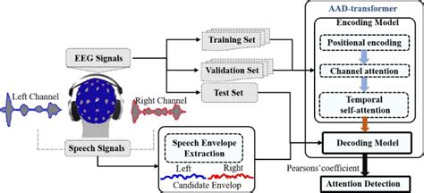 Decoding Selective Auditory Attention With Eeg Using A Transformer Model Bohrium