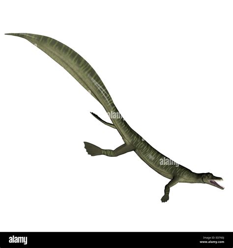 Mesosaur Cut Out Stock Images And Pictures Alamy