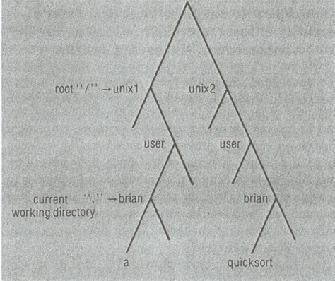 The Naming Structure Of A Simple Unix United System Download Scientific Diagram
