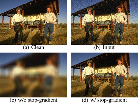 Figure 7 From Self Supervised Image Denoising Using Implicit Deep