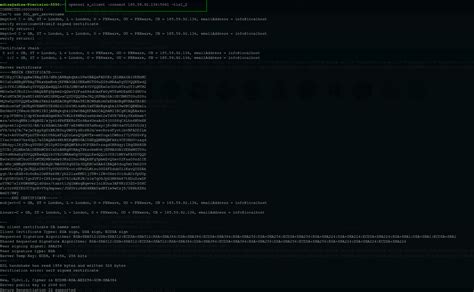 Howto Ssl Tls Vulnerabilities Bicom Systems