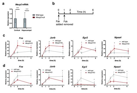 Iegs Gene Expression Response To Forskolin Is Dysregulated In 8 Weeks Iegs Gene Expression Response To Forskolin Is Dysregulated In 8 Weeks