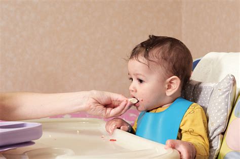 음식을 먹는 어린 소년의 초상화 수유 의자에 숟가락을 가진 아기 첫 식사를 먹는 귀여운 아기 1위에 대한 스톡 사진 및 기타 이미지 Istock
