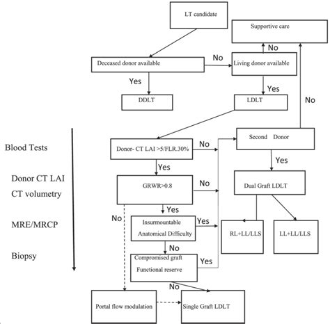 Dual Lobe Decision Making Protocol Download Scientific Diagram