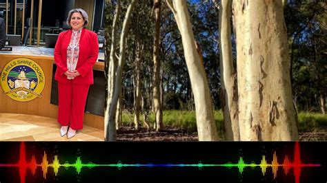 Underground Cableling At Fred Caterson Reserve Tina Cartwright