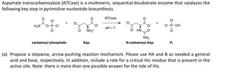 Solved Aspartate Transcarbamoylase Atcase ﻿is A