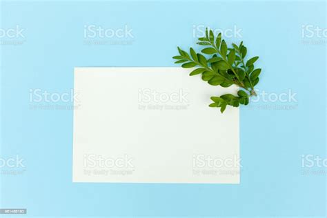 빈 종이 카드 흰색 초라한 테이블 배경에 분기 실물 하 크기 데스크톱 모형 빈 공간입니다 포토 웹 배너 스타일입니다 평면 배치 개념에 대한 스톡 사진 및 기타 이미지