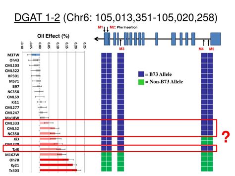 Ppt Genetic Architecture Of Kernel Composition In The Nested