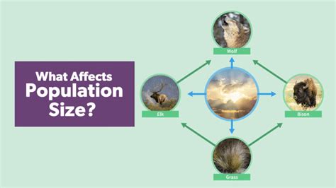 Factors Affecting Population Size Clickview