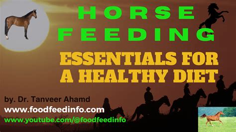 eco mix least cost feed formulation software foodfeedinfo