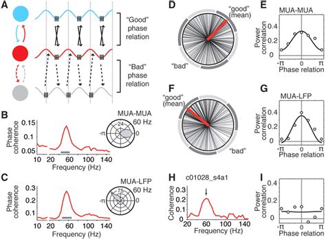 modulation of neuronal interactions through neuronal synchronization