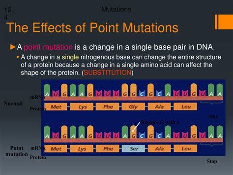 PPT Mutations PowerPoint Presentation Free Download ID
