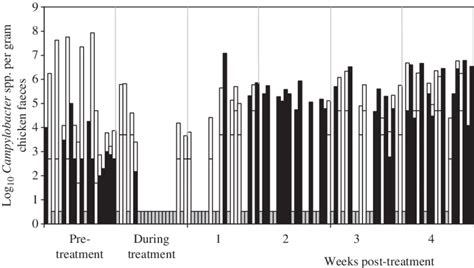 Numbers Of Campylobacter Spp In Chicken Faeces Collected From