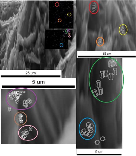 Figure 1 From Graphite Ebsd Characterization In Compact Graphite Iron