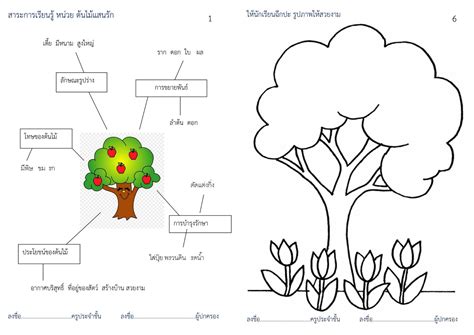 ใบงาน หน่วย สื่อปฐมวัย มีเดีย ใบงาน แจกฟรี By ครูบี