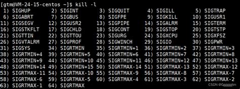 【linux从入门到精通】信号(初识信号 And 信号的产生)linux中的键位信号包括哪些 Csdn博客 【linux从入门到精通】信号(初识信号 And 信号的产生)linux中的键位信号包括哪些 Csdn博客