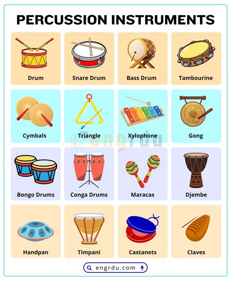 Percussion Instruments Names And Uses With Pictures Engrdu
