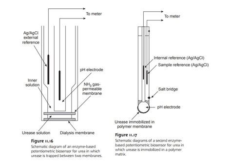 Potentiometric Biosensors Potentiometric Methods Of Analysis