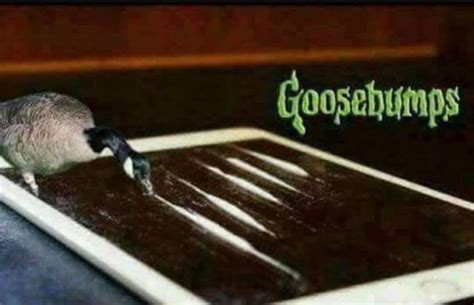 Goosebumps Meme By Imwindow Memedroid
