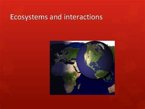 Ecosystems And Interactions Recap Definitions Use The Find