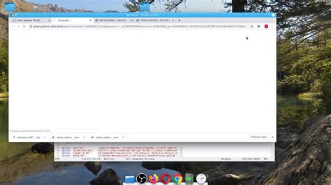 Как перенести тестовый сайт на Wordpress на основной домен Youtube