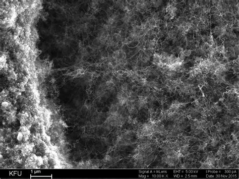 Sem Image Of The Tio 2 N Sample Magnification 10 000x Download