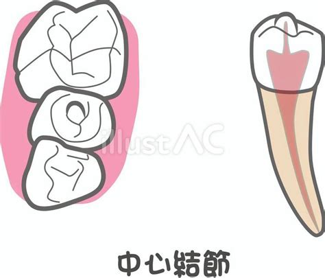 Free Vectors Central Nodule