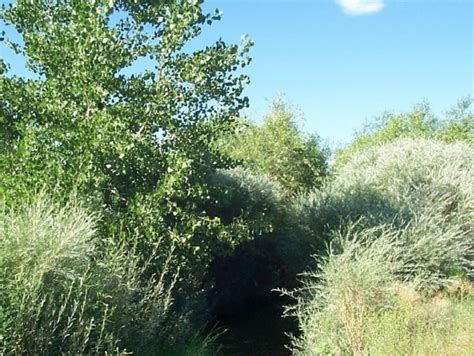 Polluted Runoff Nonpoint Source Nps Pollution Us Epa