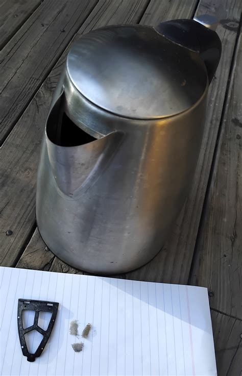 Food Safety Why Does My Kettle Have A Screen In The Spout Seasoned Advice