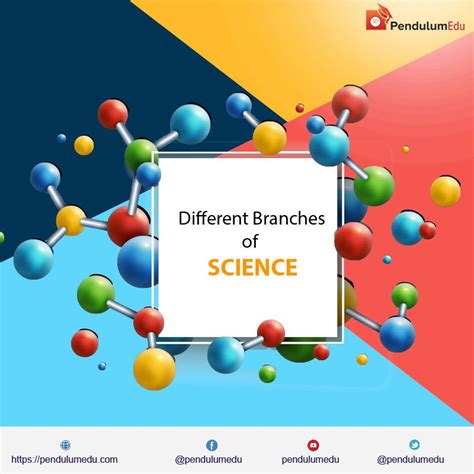 Different Branches Of Science Artofit