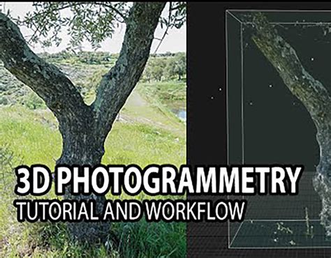 3d Photogrammetry Tutorial Behance