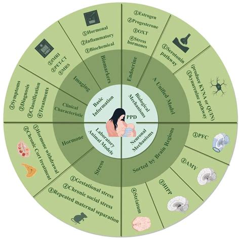 Postpartum Depression Ppd Screening And Treatment A New Era Of Care