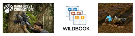 ai in wildlife conservation