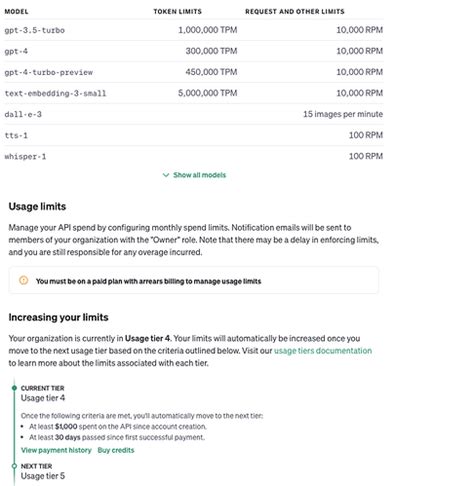 No Monthly Usage Limits Granted By Open AI API OpenAI Developer Community