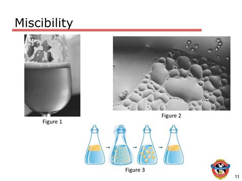 Ppt Module 2 Chemical And Physical Characteristics Of Ethanol And