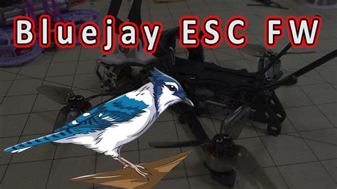 How To Flash Bluejay Esc Firmware Esc 🎵 Youtube