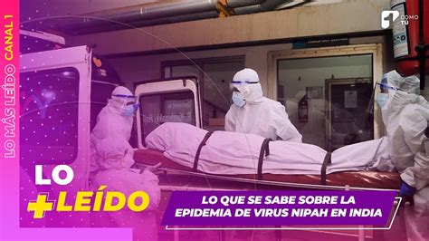 ¿el Virus Nipah Puede Convertirse En Una Pandemia Canal 1