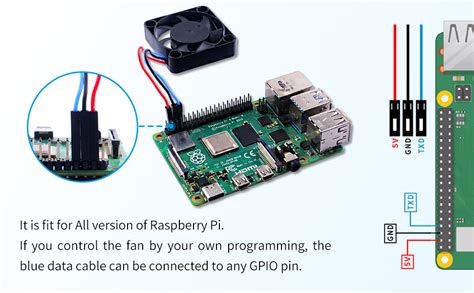 Control Fan With Raspberry Pi At Jenenge Blog