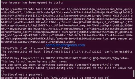 Install And Configure Pomerium Proxy For Your Services Computingforgeeks