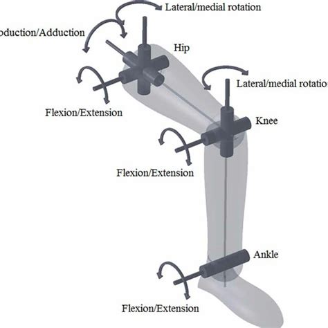 Cable Driven Robots A Nerebot B Maribot Rosati Et Al 2017 Download Scientific Diagram
