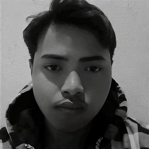 Swallow Youtube