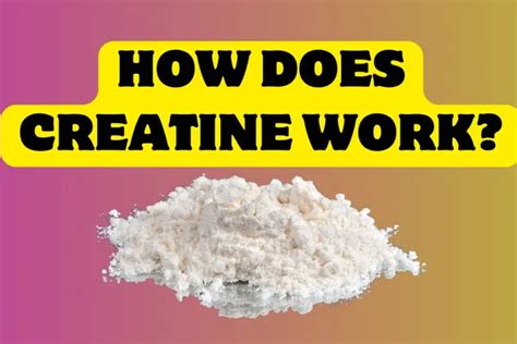 How Does Creatine Work | Combat Creatine Supplements