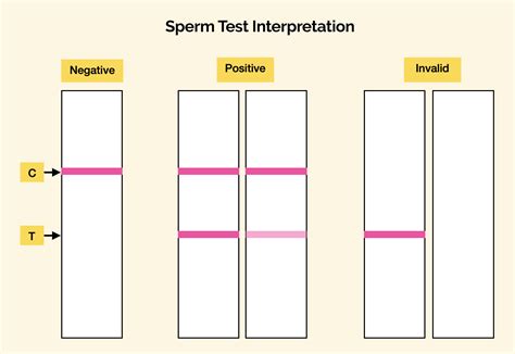 Zesttee S At Home Mens Sperm Test