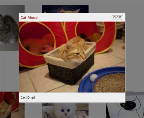 Github Wally Wally The Cat Api Cat Practice Of Html Css Vanilla Javascript Using Thecatapi