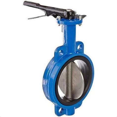 Industrial Butterfly Valves At INR In Vadodara Gujarat Shree Kalyanrai Engineers