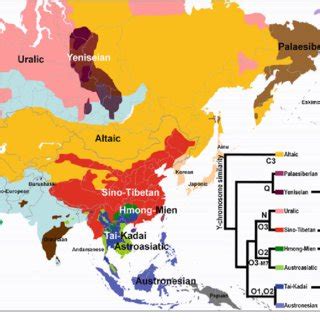 Geographic Distributions Of Y Chromosome Haplogroup C D N And O In