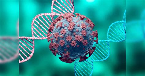 Seasonal Behaviour Of Sars Cov 2 Found To Be Latitude Dependent Genetically Encoded Ethealthworld